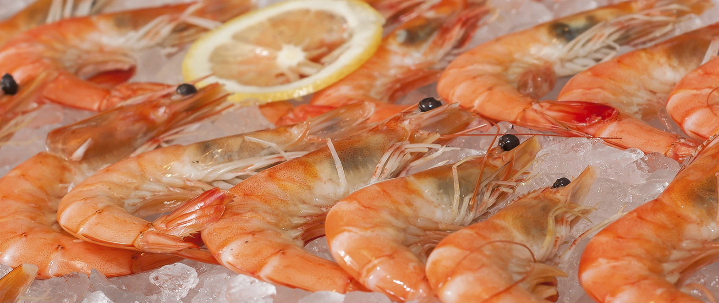 CITPPM | COMMISSION TECHNIQUE CREVETTES ET CRUSTACÉS CUITS